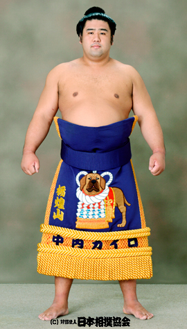 Cool Sumo Kesho-Mawashi Designs! – JapanSauce.Net