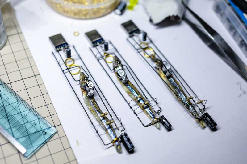 Japanese Person Develops USB That Uses A Small Fish Design As Storage ...